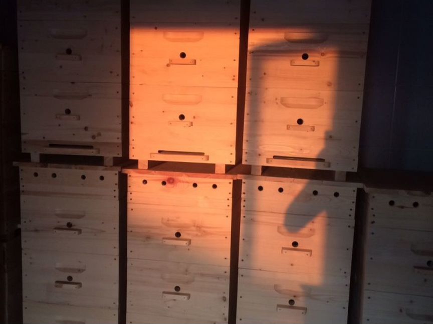 Рута 3-х корпусной, на 8 рамок