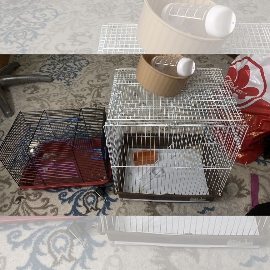 Клетка для хомяка большая