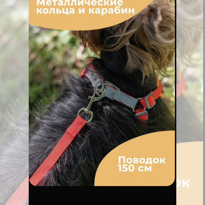 Поводок для собак