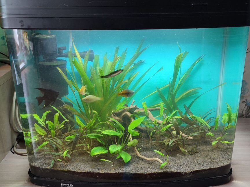 Аквариум 80 литров atman