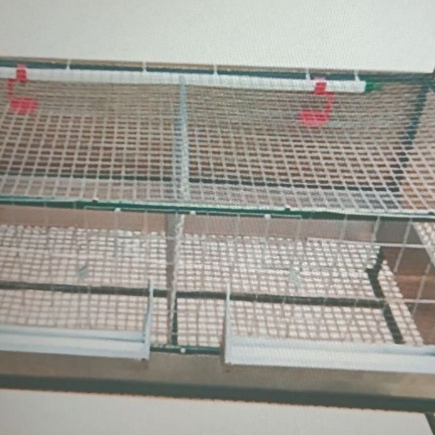 Клетки для бройлеиов и кур