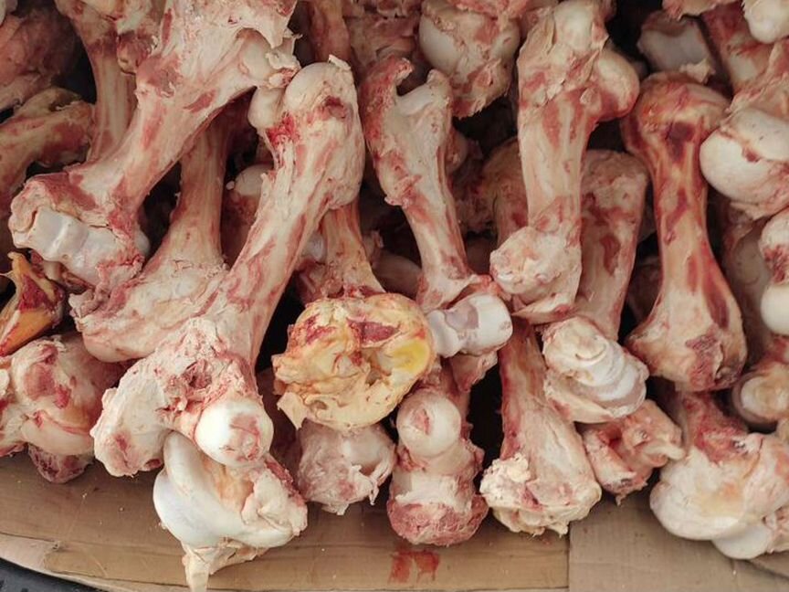 Мясо говядина для собак