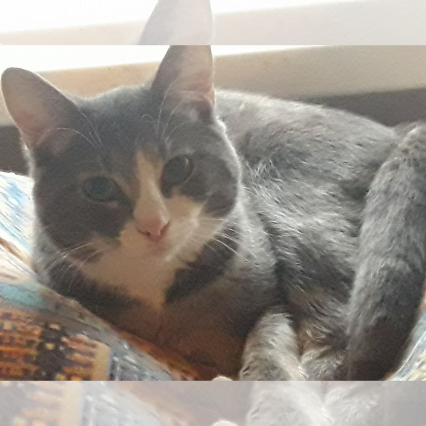 Замечательный Сержик