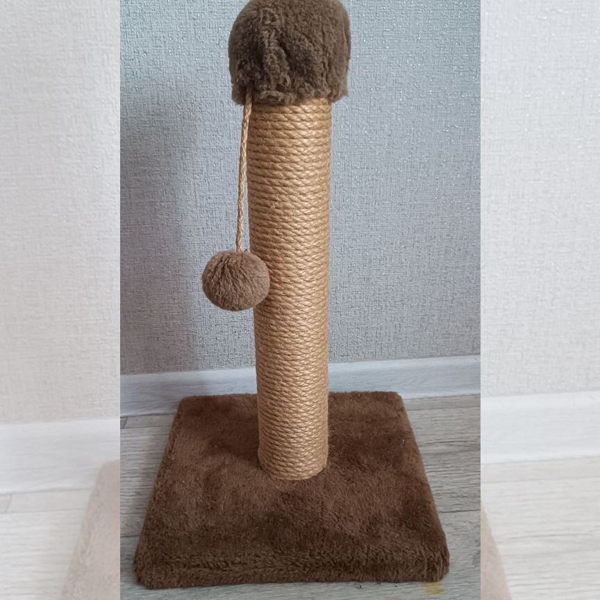 Когтеточка Новая