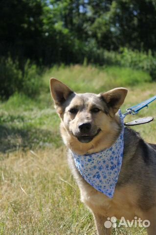 Жужа живёт в клетке