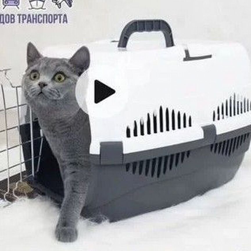 Переноска новая