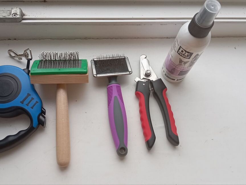 Набор для собак