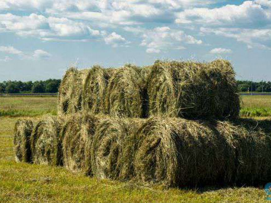 Солома в рулонах