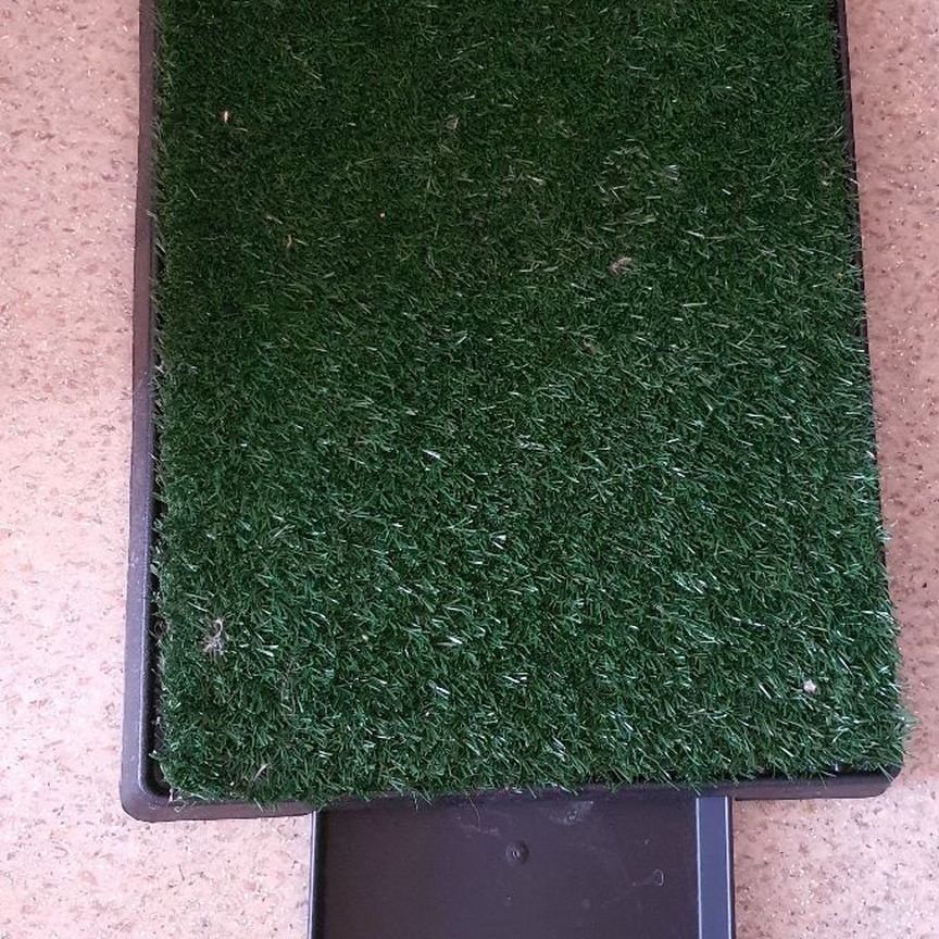 Туалет лоток для собак с травкой