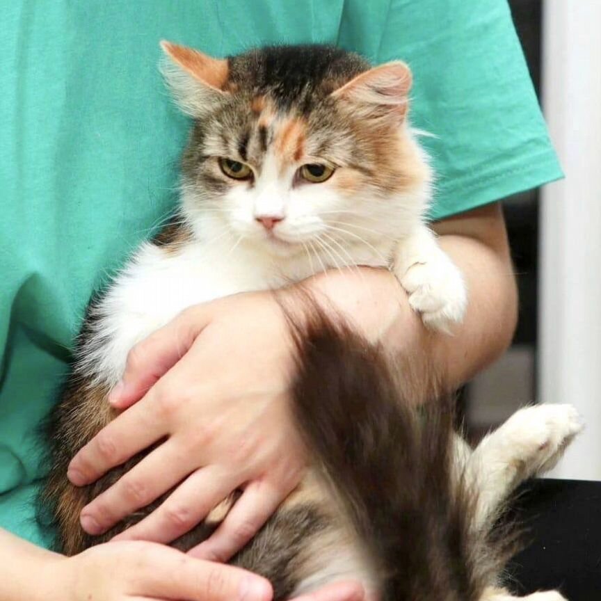 Выжила при пожаре