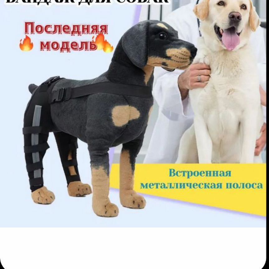 Бандаж для собак на задние лапы, размер L