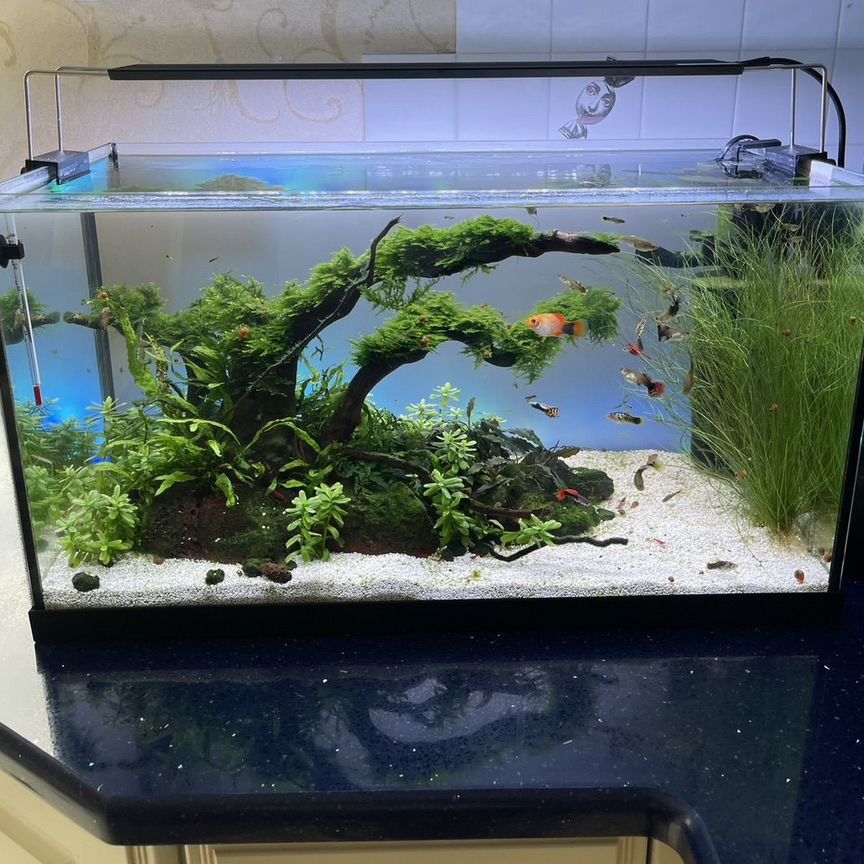 Аквариум juwel 60 литров набор