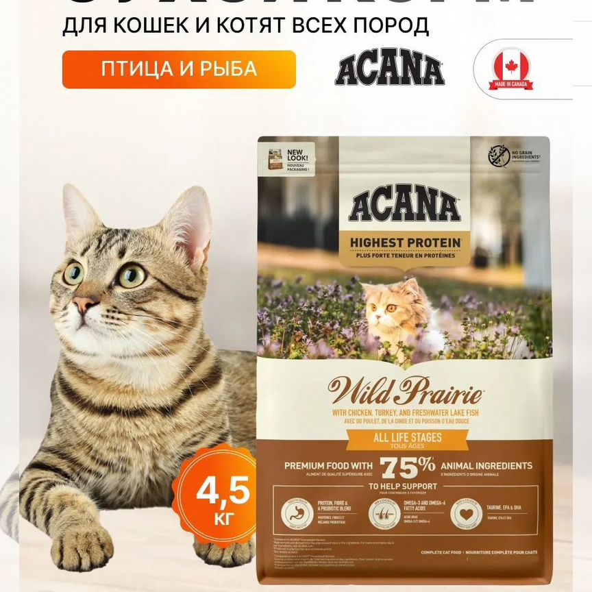 Cat & Kitten acana wild prairie (Птица, рыба) 4,5