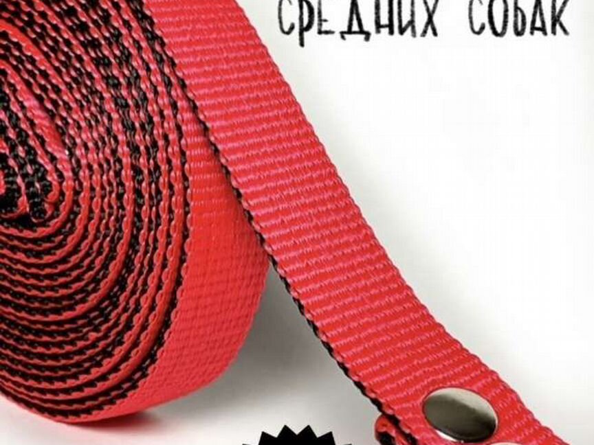 Одежда для средних собак