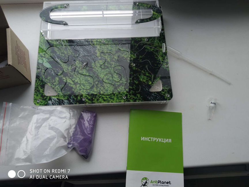 Формикарий муравьиная ферма