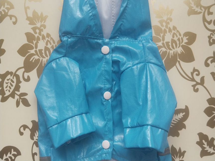 Одежда для собак