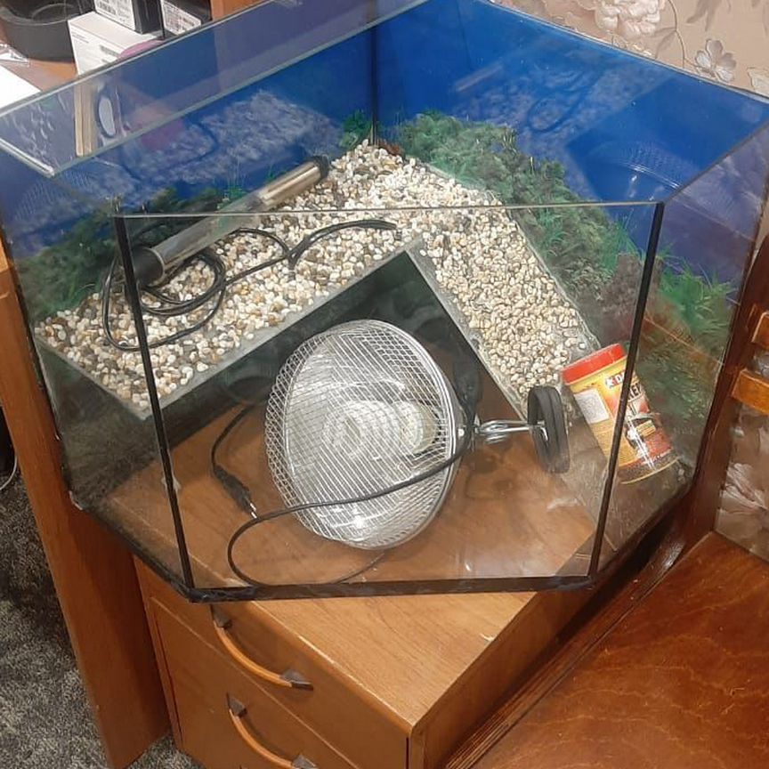 Аквариум для черепах (черепашник)