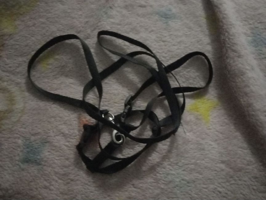 Шлейка для котов и маленьких собак