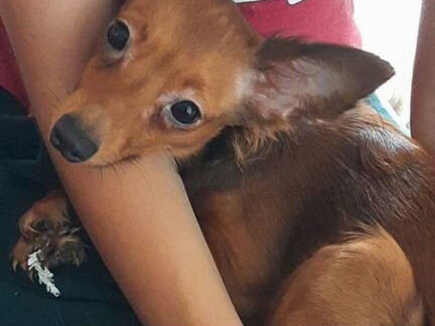 Малыш маленький