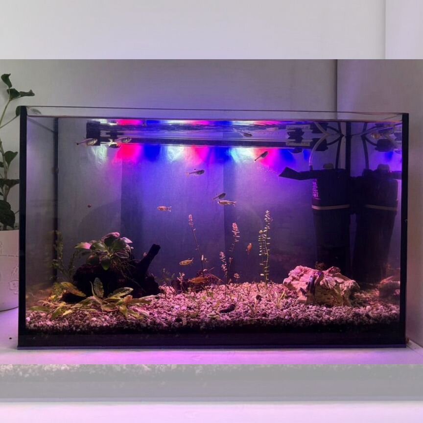 Аквариум 40 литров