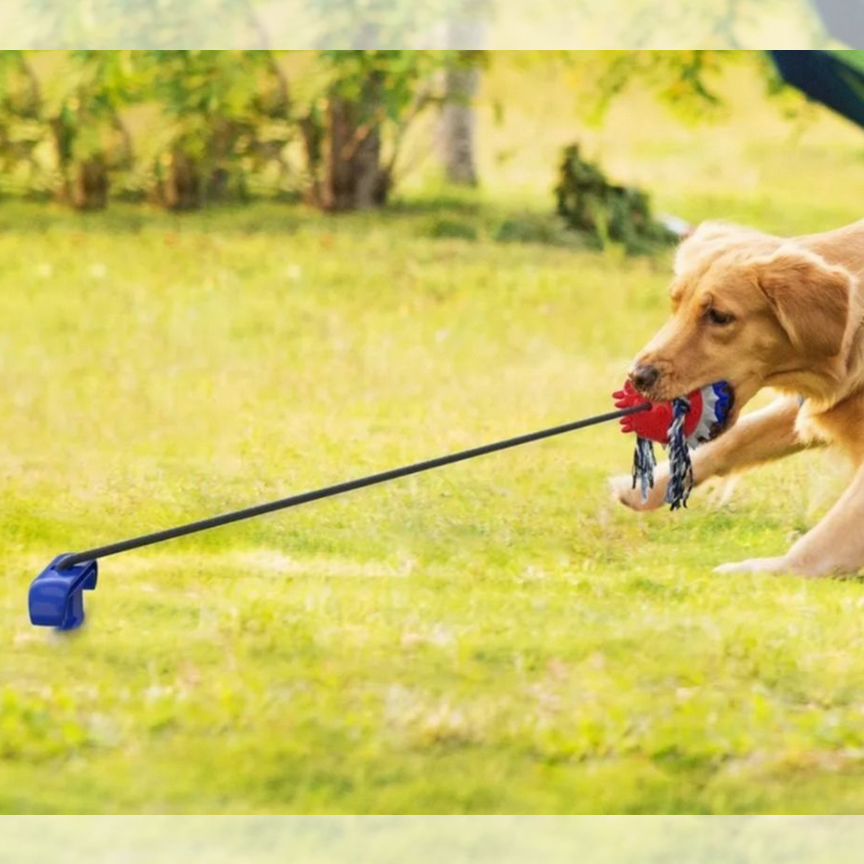 Игрушки для собак