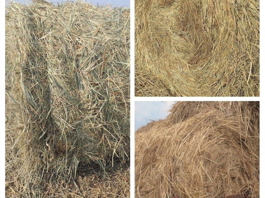 Сено в рулонах (разнотравье)