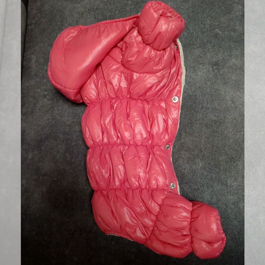 Одежда для собак