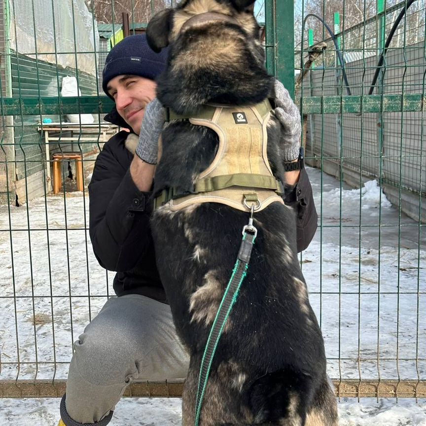 Всегда нужны в приюте заботливые ручки