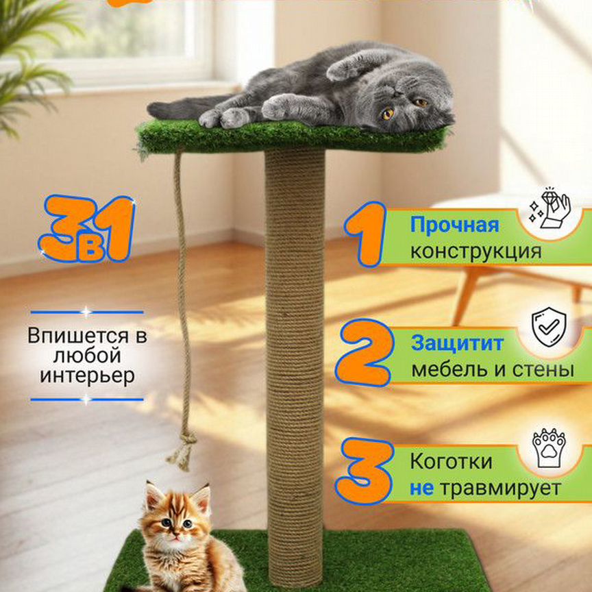 Когтеточка столб