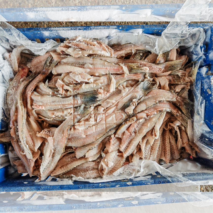 Продам рыбные отходы в большом объёме