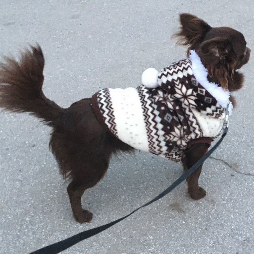 Шубка для маленькой собачки