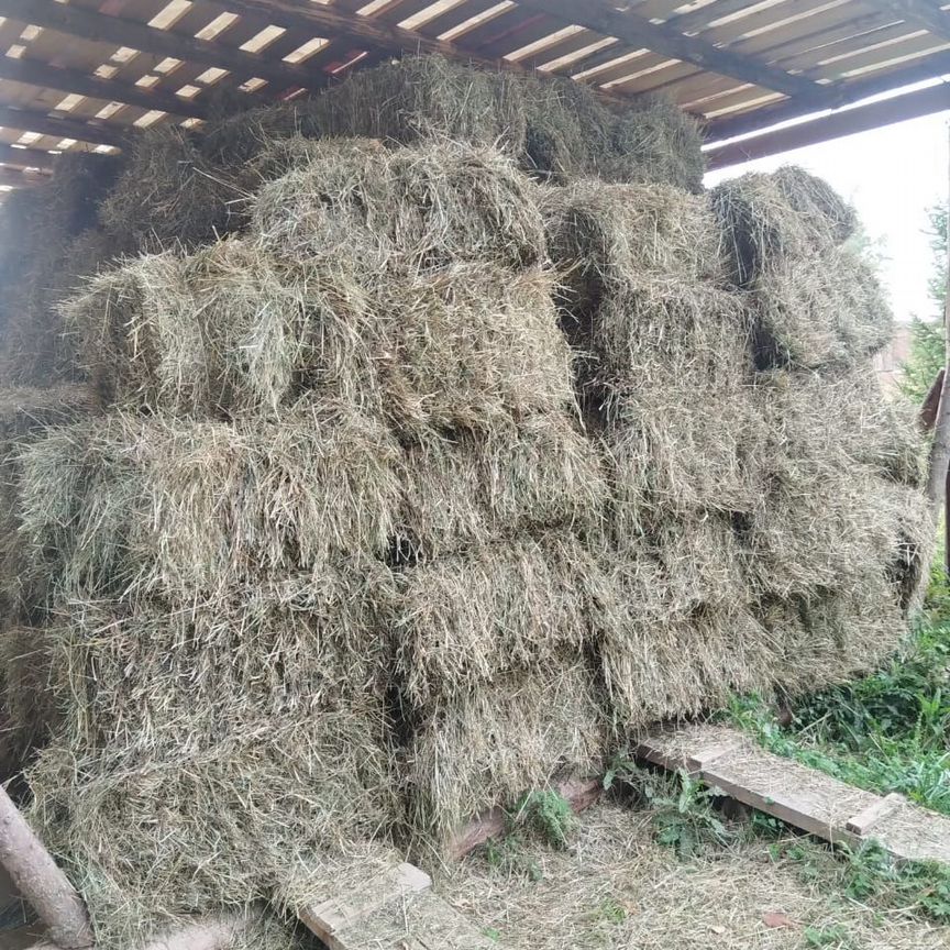 Сено в тюках