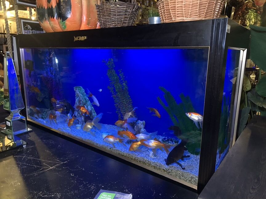 Аквариум с тумбой