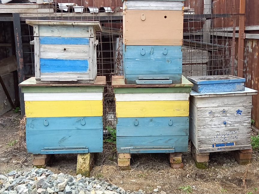 Ульи с рамками