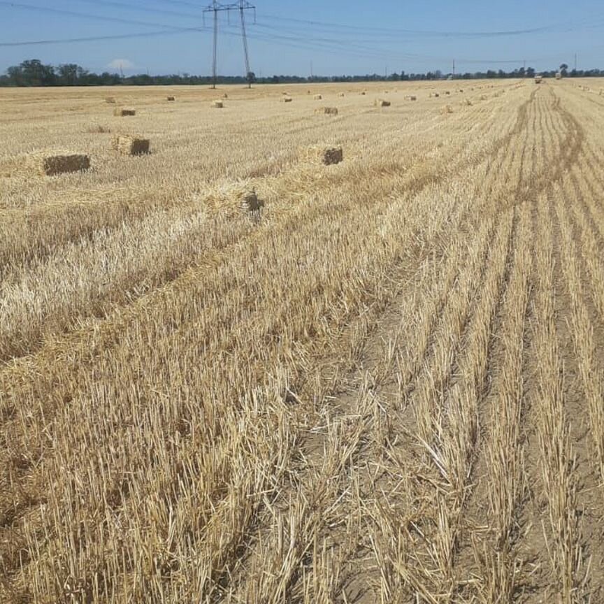 Солома в тюках