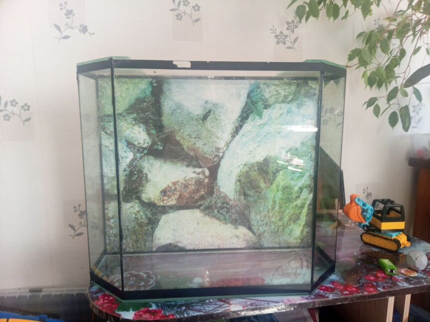 Аквариум, грунт, камушки