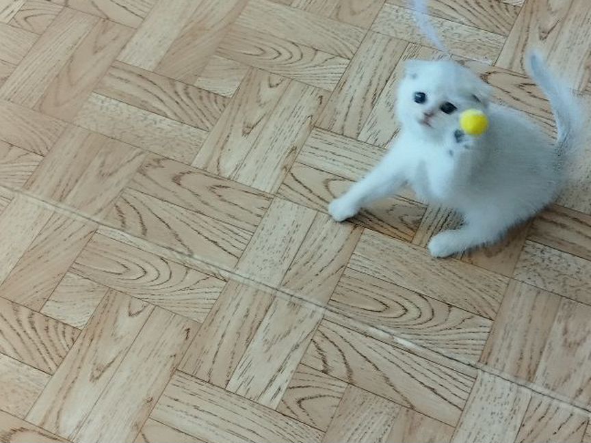 Серебристый мальчик