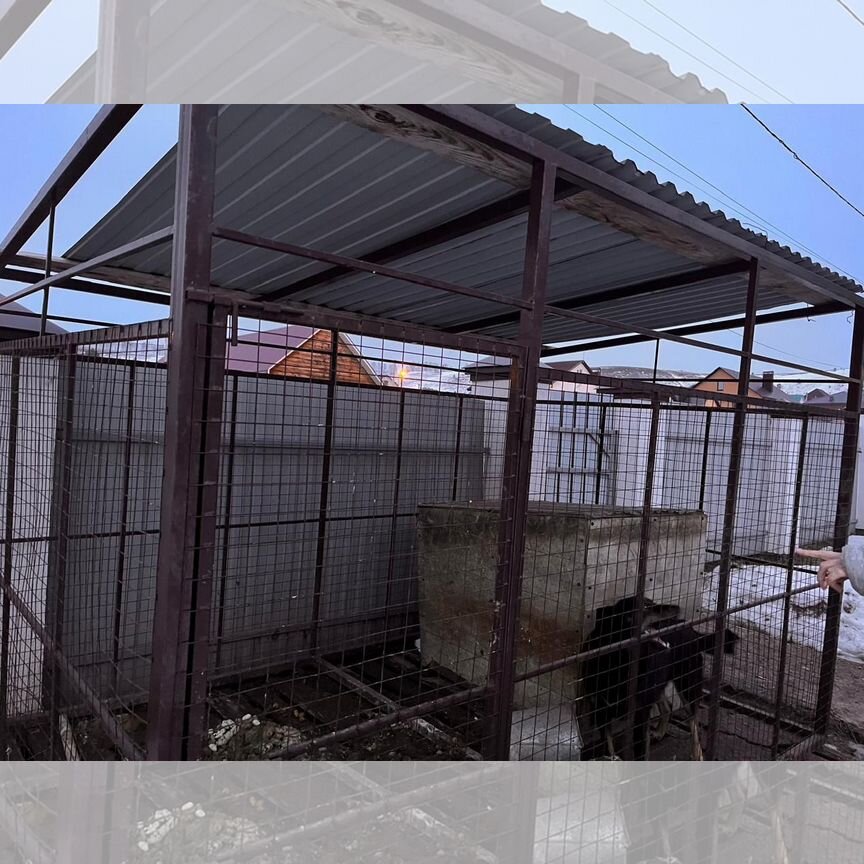 Вольер для собак уличный