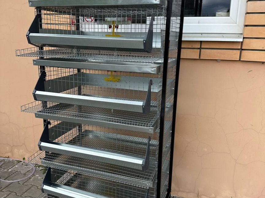 Клетка для 150 перепелов каркасная