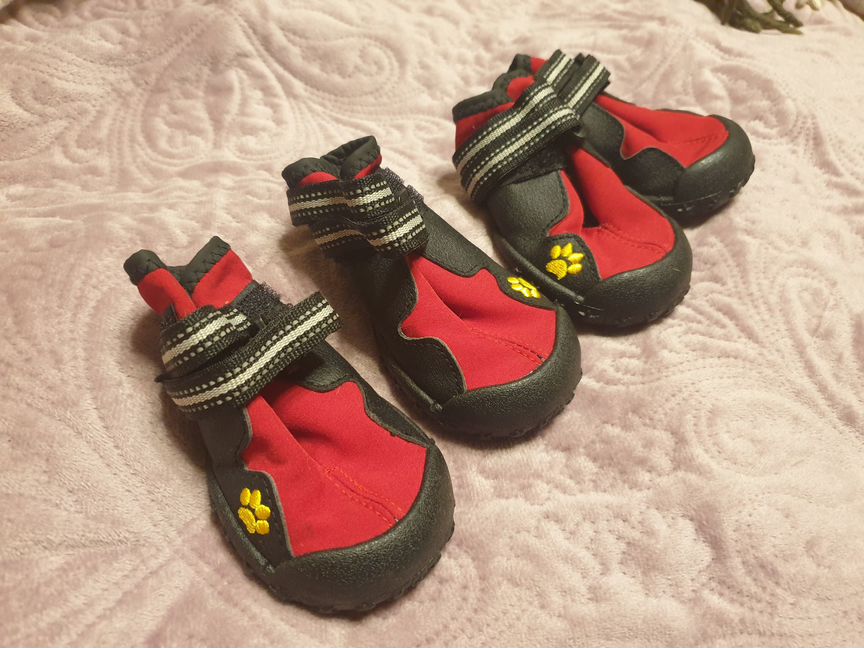 Ботинки на крупных средних собак Cezar&Chester