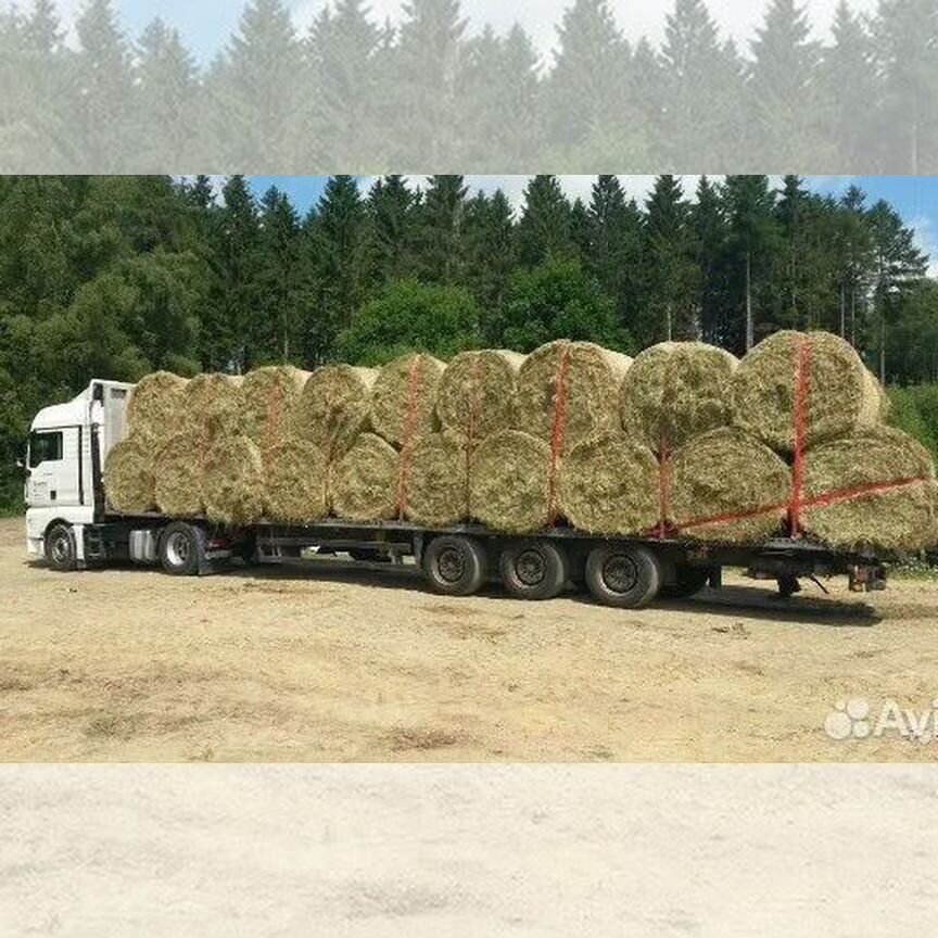 Сено в рулонах высшее качество разнотравье