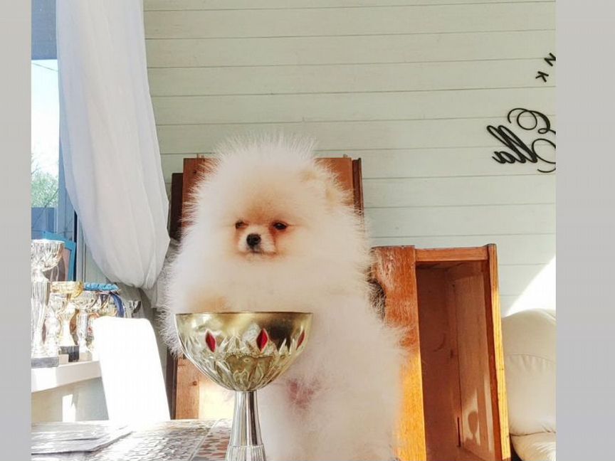 Мини мальчик