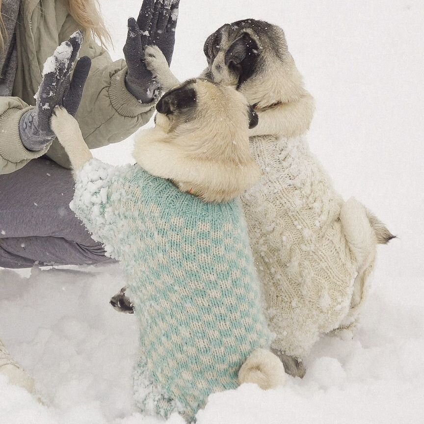Комбинезон для собаки вязаный