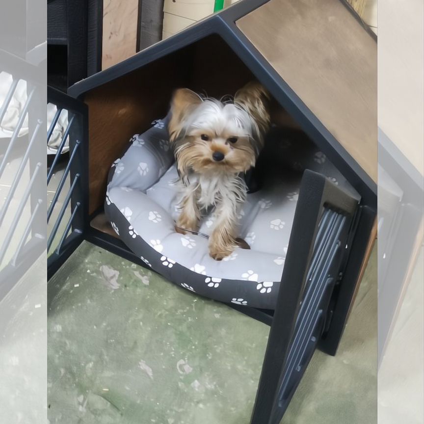 Уютный домик для собаки