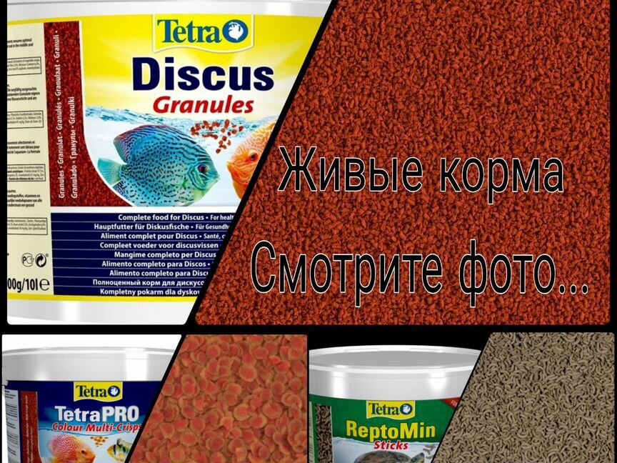 Сухие корма для рыб и рептилий. Живые корма