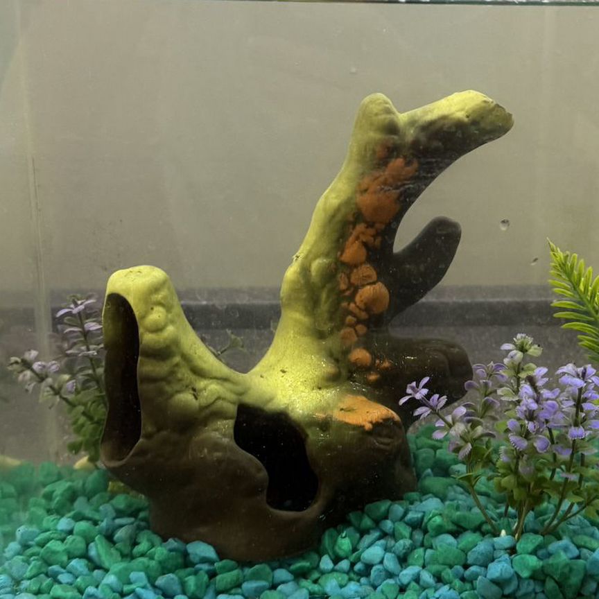 Продам аквариум