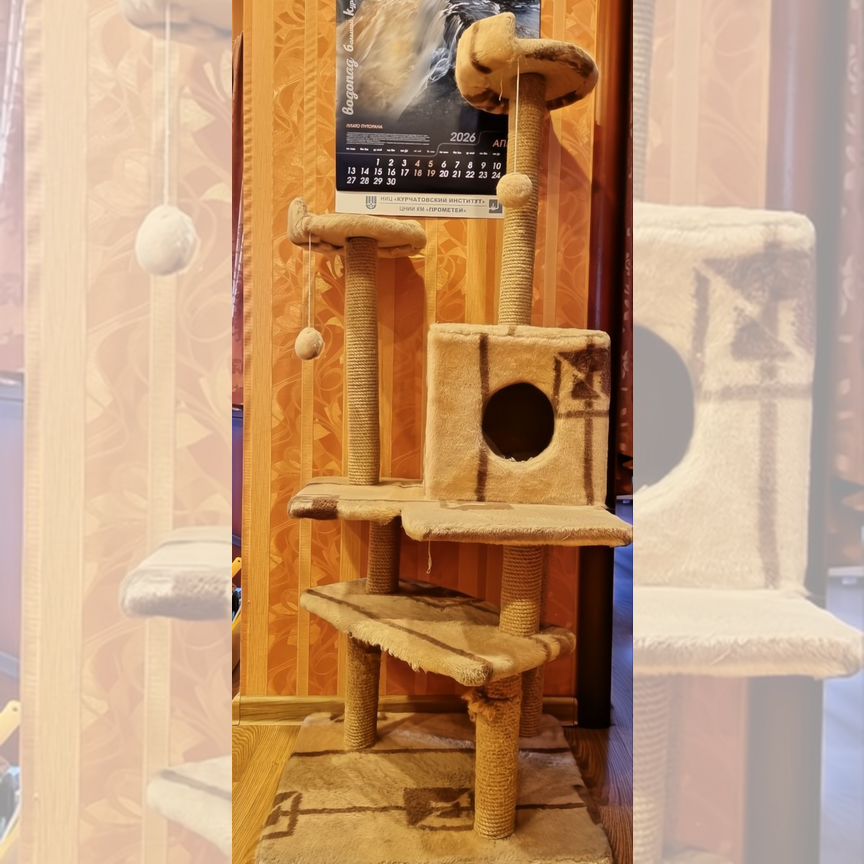 Когтеточка домик для кошки бу