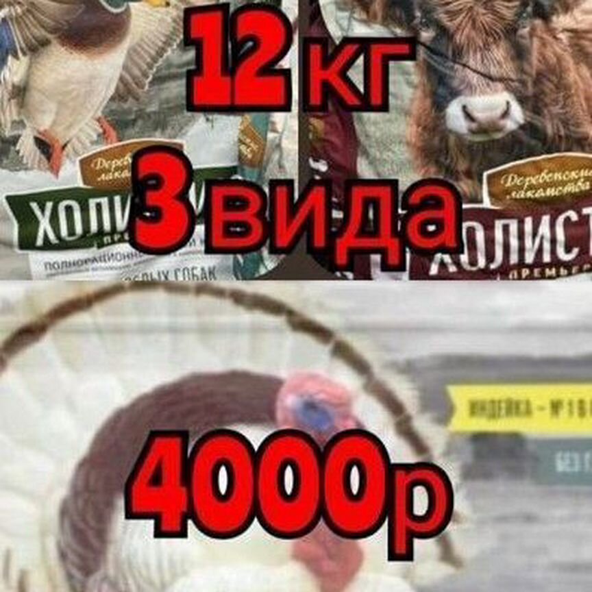 Корм для собак