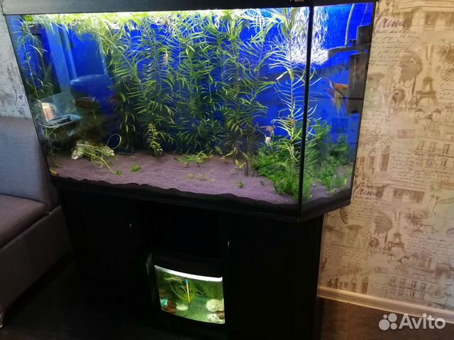 Аквариум juwel 300 л. (Германия), полный комплект