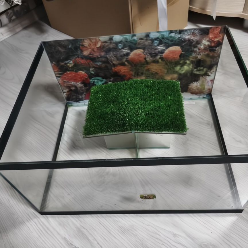 Аквариум на 50 литров